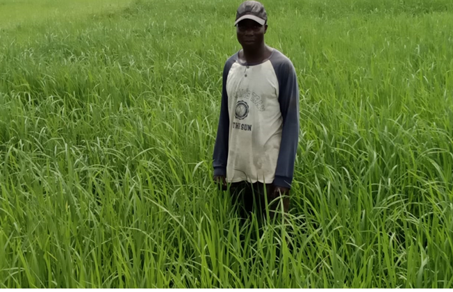 Home - Active-D Agrotech